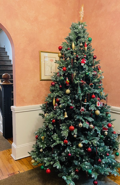 CVAN - Safety, Shelter & Support for Battered Women & Children of ...